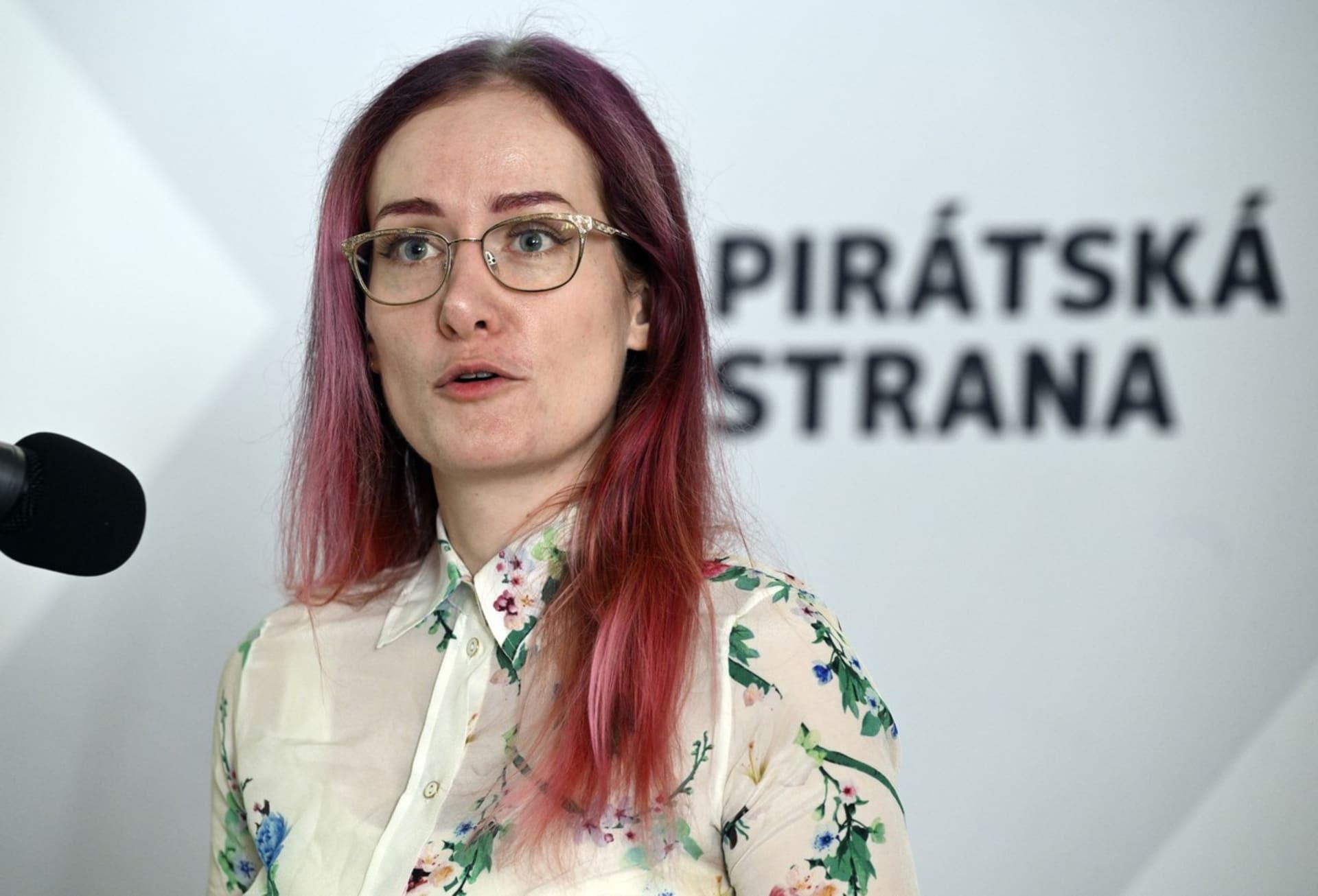 Gregorová (Piráti): Komise odhalila své záměry pro rok 2025, bez ...