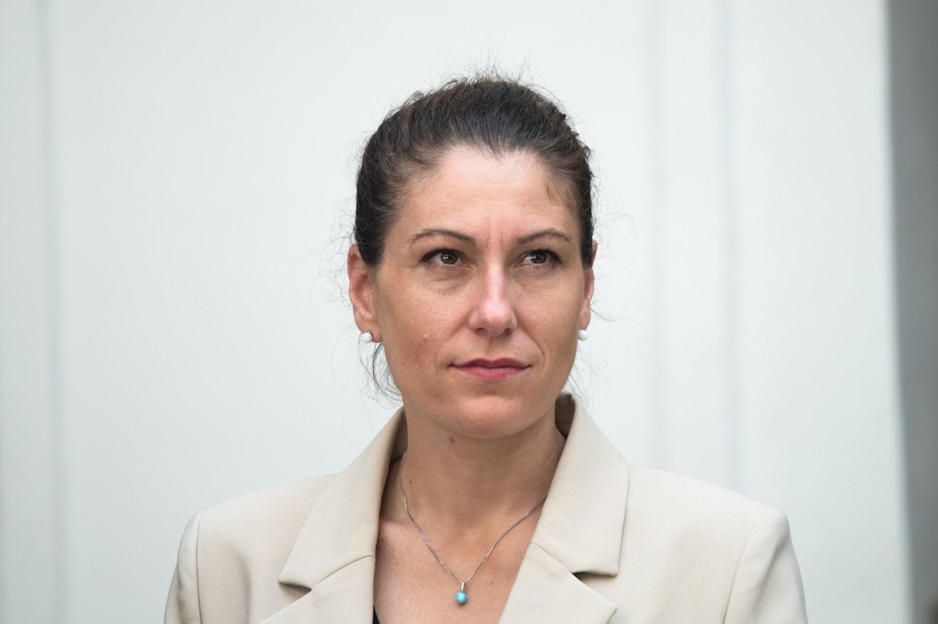 Decroix (ODS): Opravu hrozbou není Okamura, ale Babiš